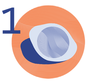 DermTech | Melanoma and Skin Cancer Detection